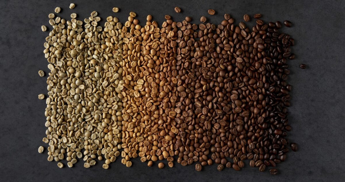 Difference Between Light, Medium and Dark Roast | U3 Coffee